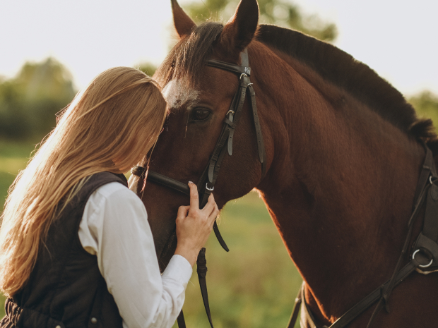 Holistic Equine Therapy Programs: The Power of Horses in Recovery ...